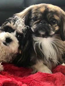 Dr. Batlan – Specialized Pain Management